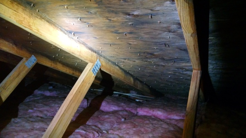 Mold Removal Cost .............Cost Factors, Insurance Coverage Mold Removal Cost .............Cost Factors, Insurance Coverage